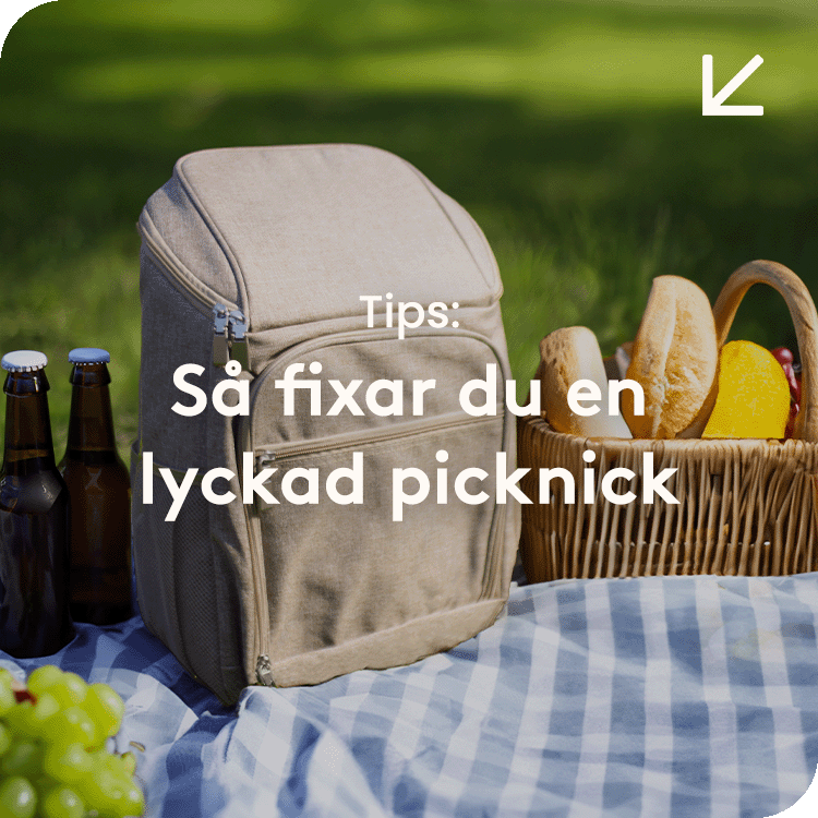 Så fixar du en lyckad picknick