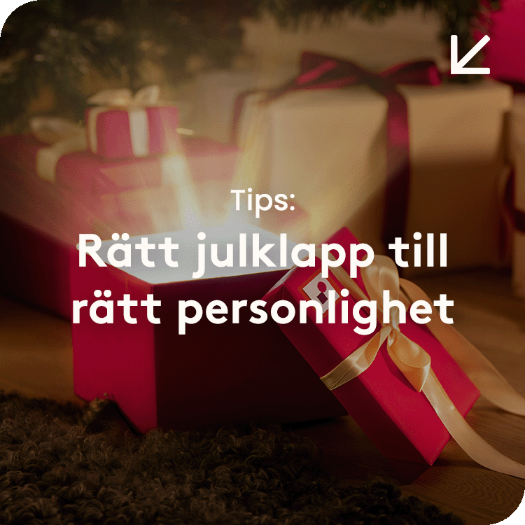 Julklappstips 2024 – Hitta den bästa julklappen | SmartaSaker