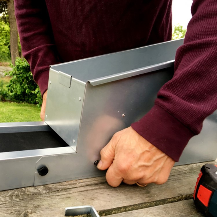Tips och råd när du ska plocka blåbär i sommar
